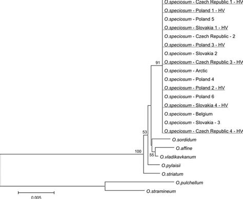 Minimum Evolution Tree Based On Its Sequences Bootstrap Values Are
