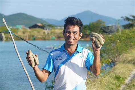 Hải Sâm Cát Cao Cấp Việt Nam Vscc