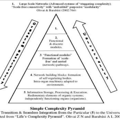 The Complexity Pyramid Showing Progression From Simple To Complex