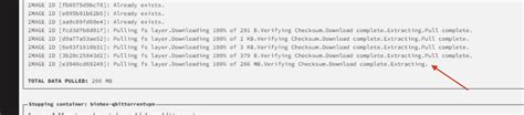 docker containers not updating general support unraid