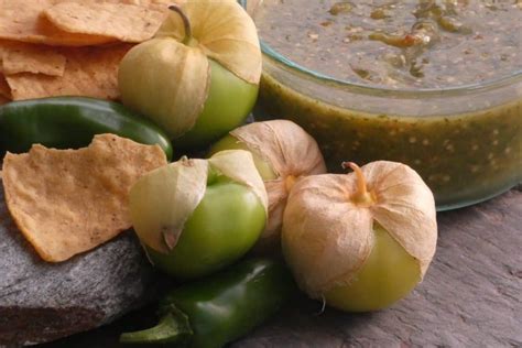 Organic Seeds Tomatillo Verde San Diego Seed Company