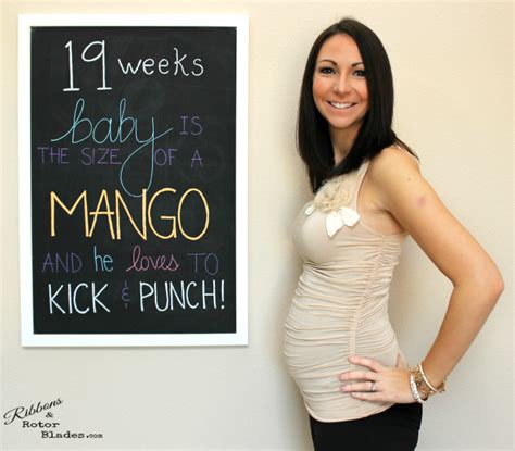 Life With The Obies Pregnancy Update Week 19