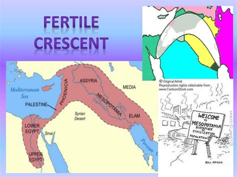 PPT - The Fertile Crescent/Mesopotamia PowerPoint Presentation, free download - ID:7042012