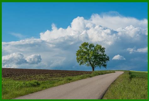 Coca Colas Use Of Data Matrix Barcodes For Enhanced Traceability