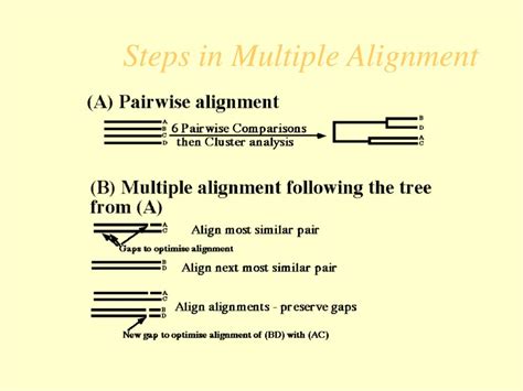 Ppt Multiple Sequence Alignment Powerpoint Presentation Free