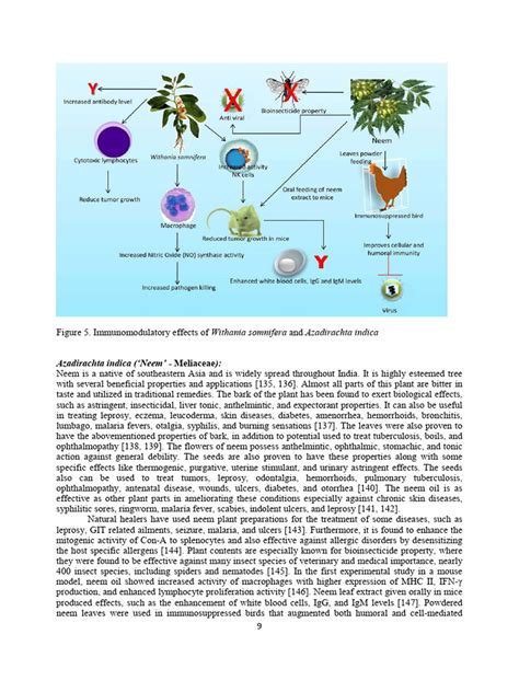 Herbal Immunomodulators A Remedial Panacea For Designing And 4xflk97onv