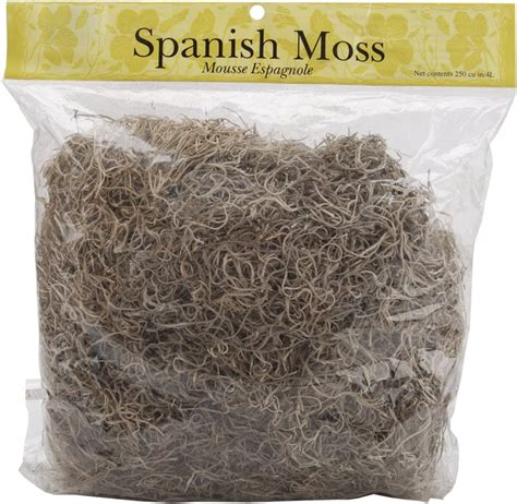 Preserved Moss Dried Spanish Moss Natural Arts Crafts