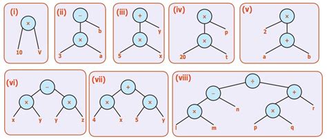 பயிற்சி 51 கேள்வி பதில் மற்றும் தீர்வுகள் தகவல் செயலாக்கம் பருவம் 2 அலகு 5 6 ஆம்