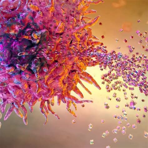 Immune Response Sartorius