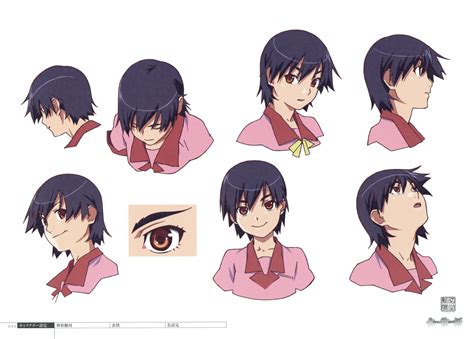 Kanbaru Suruga Monogatari And 1 More Danbooru