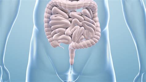 Divertikulitis Symptome Ursachen Diagnose Und Symptome Sihya