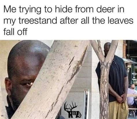 Hunting Memes 32 11 25 2024 Thunder Dungeon The Funniest Memes Period