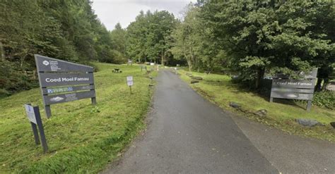 Two Moel Famau Fly Tippers Fined After Court Prosecution