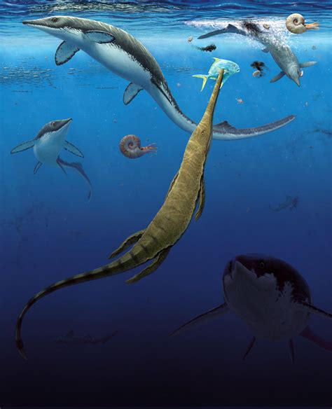🦴 What The Discovery Of A 249 Million Year Old Marine Ecosystem Reveals