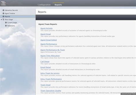 3 18 reporting reference guide reportgeneration bright pattern