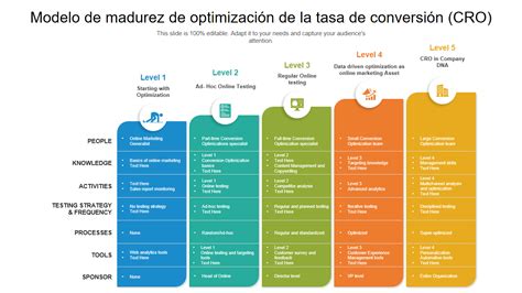 Las 10 Mejores Plantillas De Tasa De Conversión Con Muestras Y Ejemplos