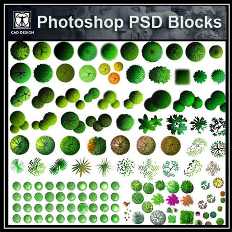 Photoshop Psd Landscape Tree Blocks 5 Cad Design Free Cad Blocksdrawingsdetails Photoshop Psd Landscape Tree Blocks 5 Cad Design Free Cad Blocksdrawingsdetails