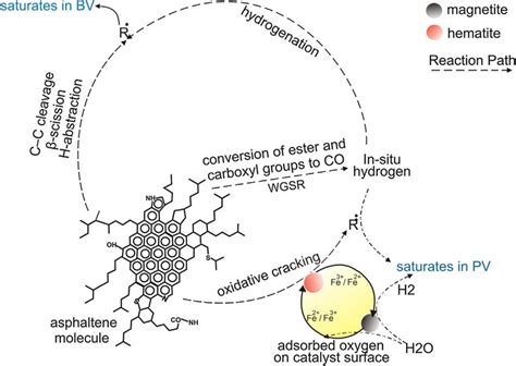 Schematic Illustration Of Proposed Pathway For The Catalytic Cracking