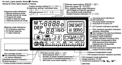 Viewfinder And Other Related Issue With Canon Eos 1n