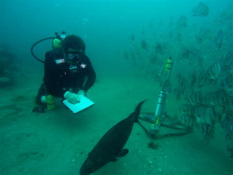 Improving Acoustic Telemetry Study Shows How Wind Affects Fish