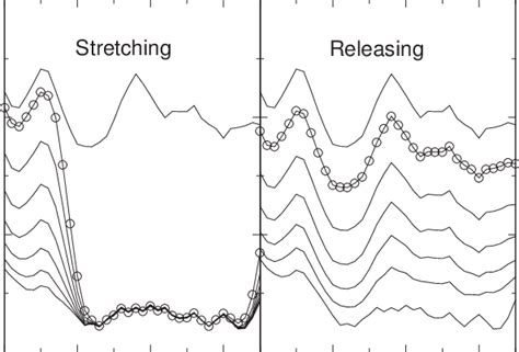 The Internal Monomer Monomer Correlation Functions B I 5 I Of Download Scientific Diagram
