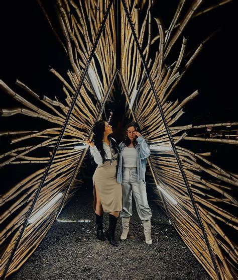 A Y L I N A M A I R A N I Aagi 97 • Instagram Photos And Videos