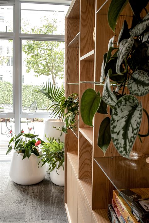 Everil Orr — Grasshopper Gardens