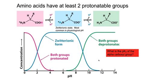 Titration Graph Pka At Barbara Haslam Blog Titration Graph Pka At Barbara Haslam Blog