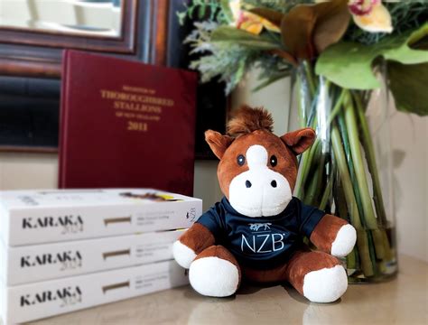 Nzb Online Store
