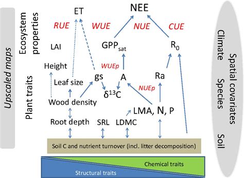 Linking Plant And Ecosystem Functional Biogeography Pnas