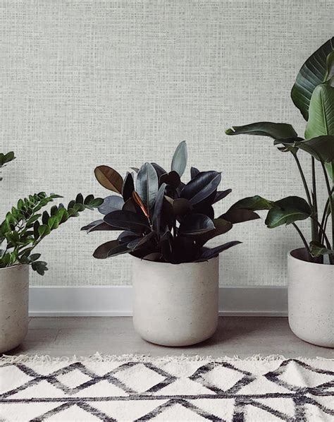 Grassweave Gra Bw55906 Tektura Wallcoverings