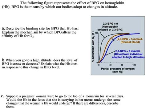 solved the following figure represents the effect of bpg on hemoglobin