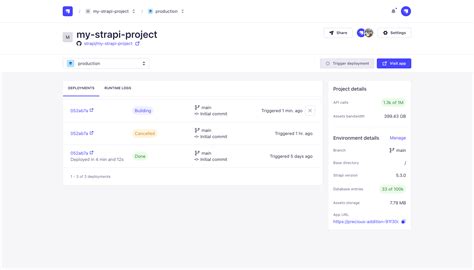 projects overview strapi documentation