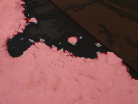 Github Blue Sky Seasnow Segmentation Cnn Segnet A Snow Segmentation