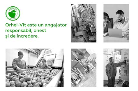 Locuri De Muncă La Orhei Vit 15 Joburi Pe Rabota Md