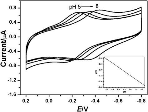 Cyclic Voltammograms Of Zno Chi Mb Modified Electrode Measured With