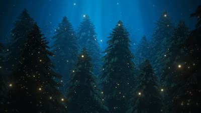 Twinkle Trees Joy Church Motion Graphics
