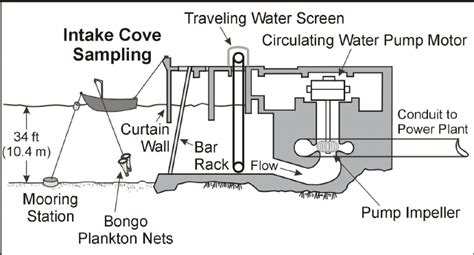 Cross Section View Of The Dcpp Intake Structure Illustrating The