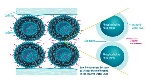 Ao Innovation Funding