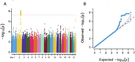 Gwas Analysis Of The Results Of The Manhattan Plot And The Q Q Plot