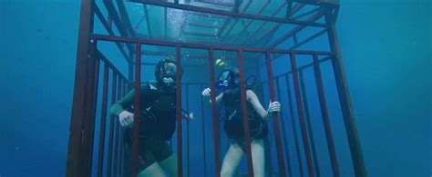 The Moving Picture Blog Way Down Below The Ocean 47 Meters Down