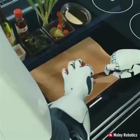 With Machine Learning Robotic Chefs Can Produce Dishes Better Than Before And Constantly Excel