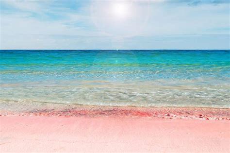 바다의 별빛 분홍빛 모래 죽기 전에 꼭 가봐야 할 전 세계 독특한 해변 Top 9 이앤투어픽