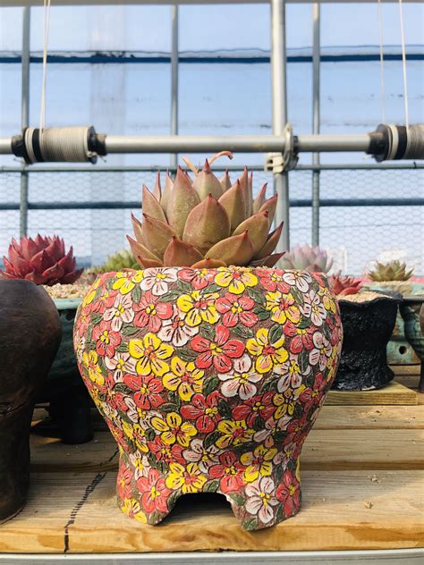 도자기수제화분 풀떼기사랑 2024 화분 분재 화분 꽃