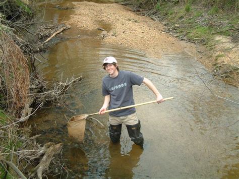 Mbss Benthic Macroinvertebrate Field Sampling Certification