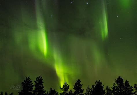 Aurora Fox By Heidyrolland On Deviantart