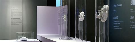 Biodesign Lab Puc Rio