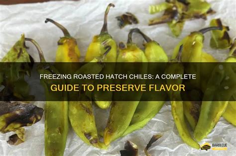 Freezing Roasted Hatch Chiles A Complete Guide To Preserve Flavor