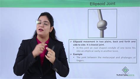 Ellipsoid Joint Medical Definition At Carmen Elliott Blog