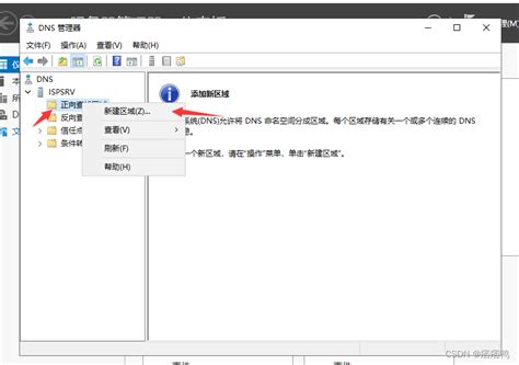 dns区域以及批量创建 如何一次性添加反向记录 dns csdn博客
